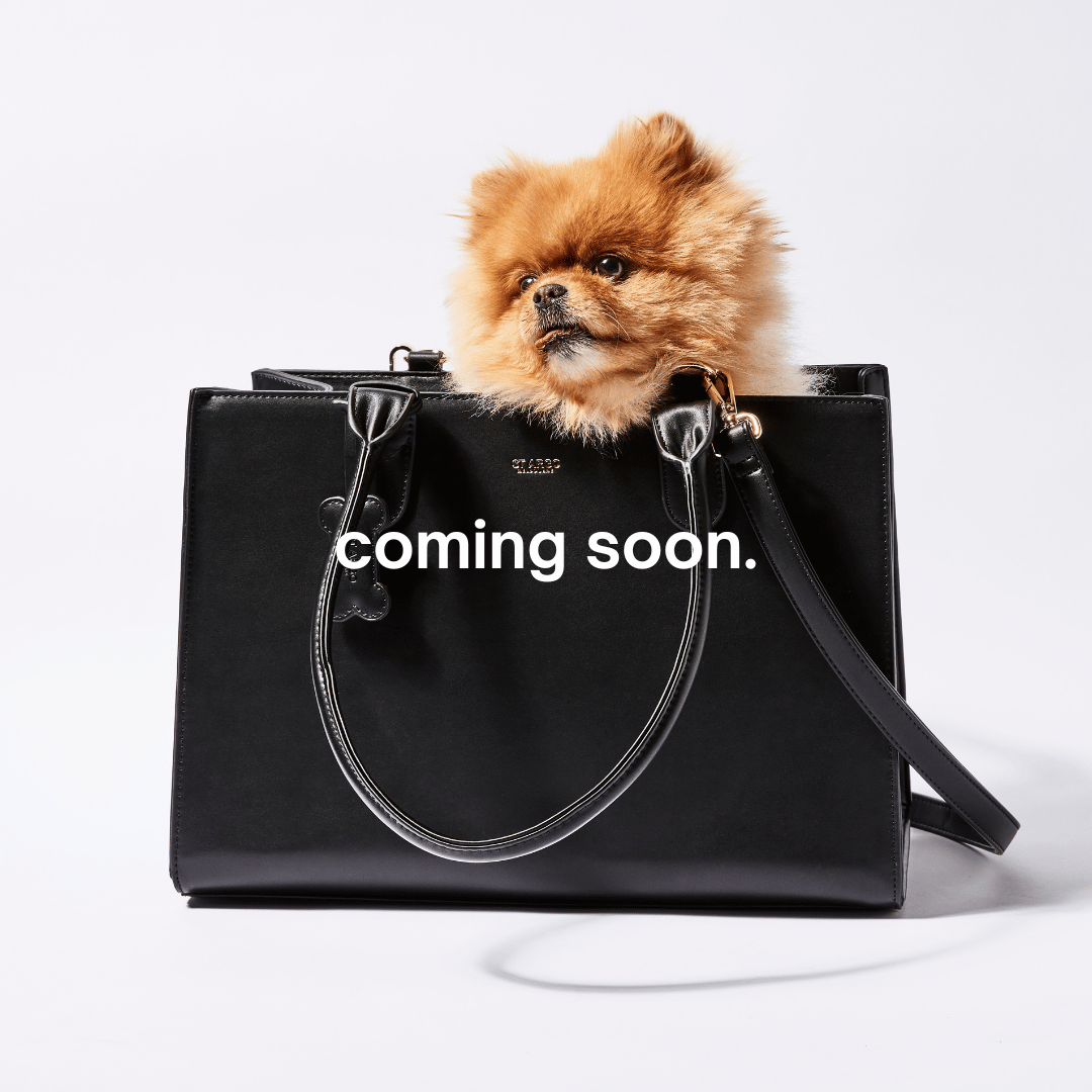 Coming Soon | ST ARGO