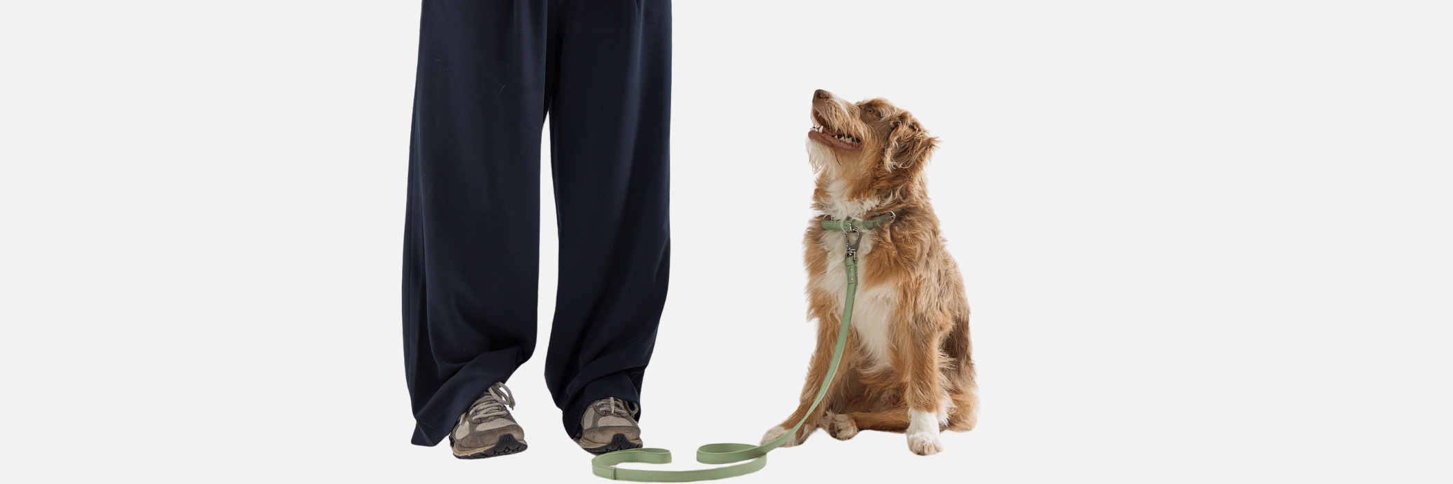 ST ARGO | Frequently Asked Questions