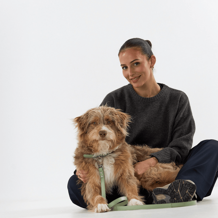 Dog Shampoo & Conditioner | ST ARGO