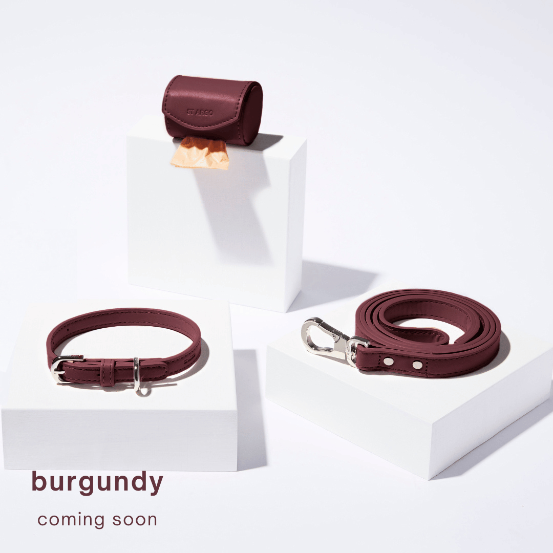 Dog Collar & Lead Set in Burgundy | ST ARGO