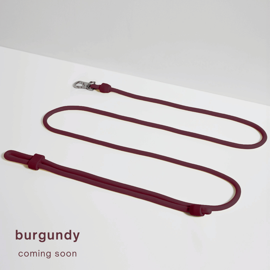Hands-Free Dog Lead in Burgundy | ST ARGO