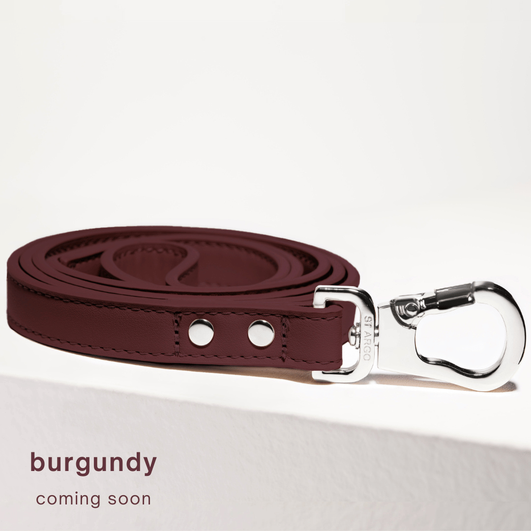 Burgundy Dog Lead | ST ARGO