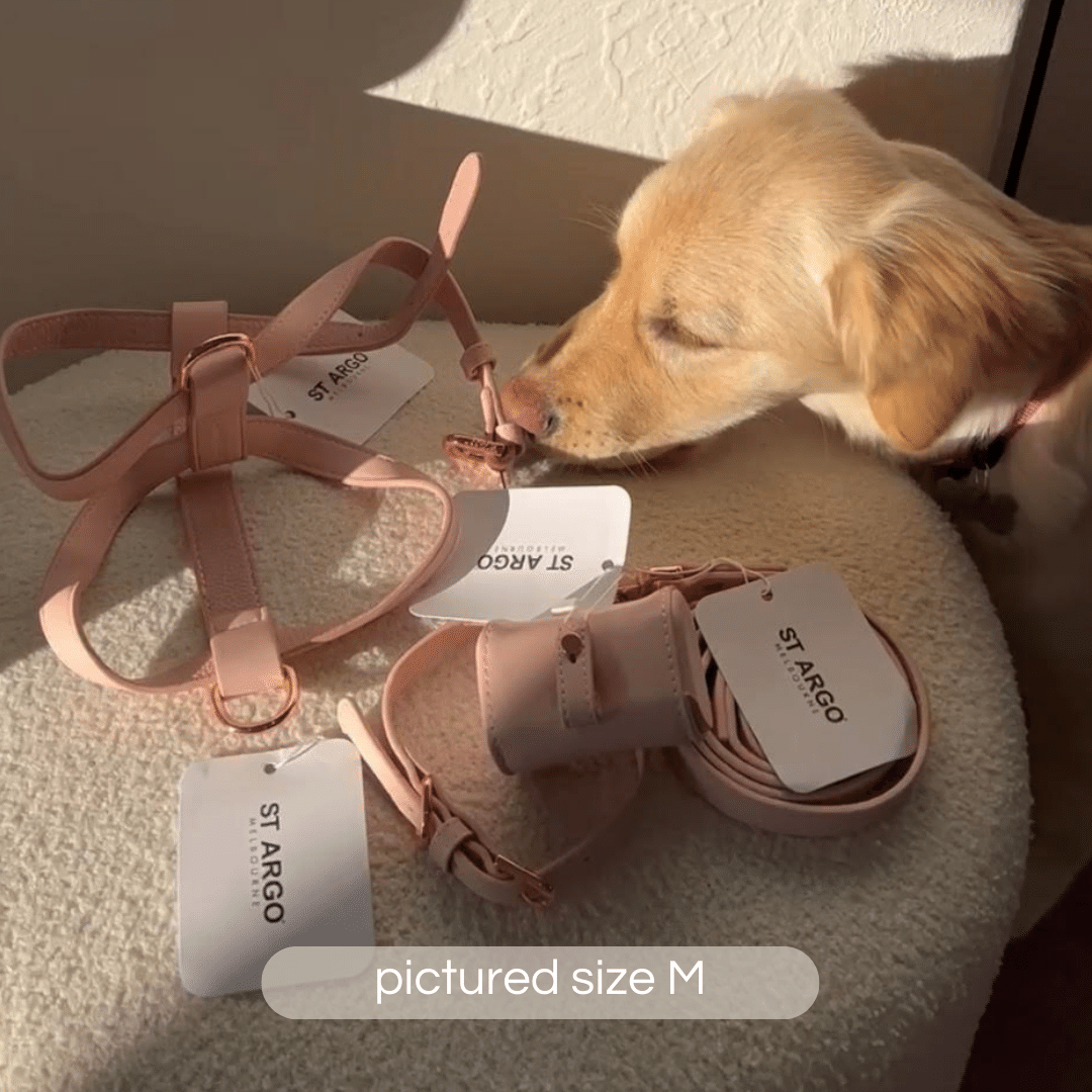 Harness & Lead Set in Pink | ST ARGO