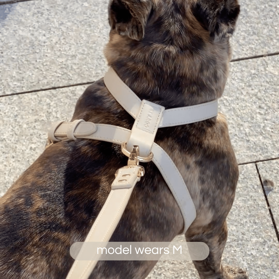 Taupe Dog Harness - A Warm Beige Tone | ST ARGO
