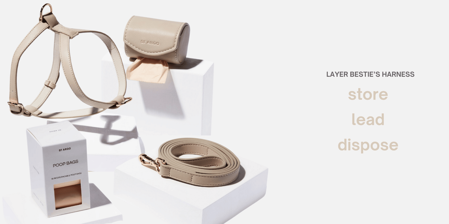 Dog Harness and Lead Set in Taupe | ST ARGO